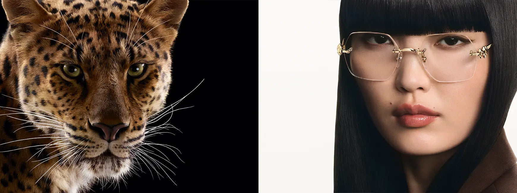 Cartier Eyeglasses – Otticanet USA