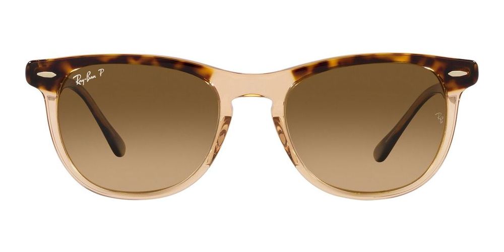 Ray-Ban EAGLEEYE RB 2398 unisex Havana Squared Sunglasses – Otticanet USA