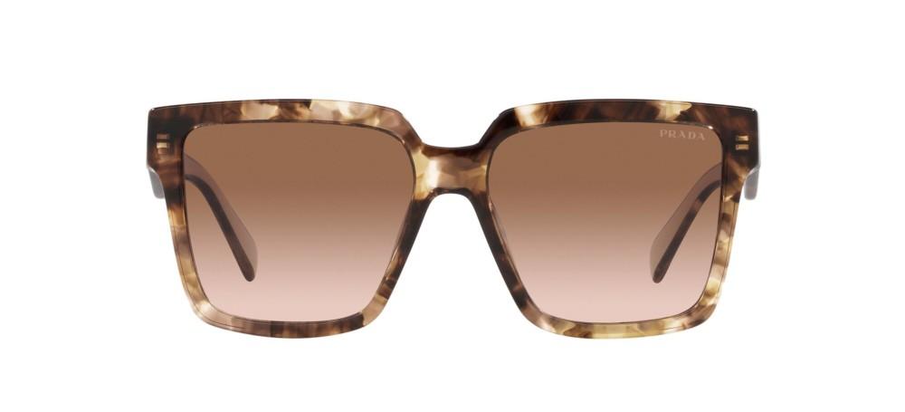Prada Pr 24zs Women Havana Squared Sunglasses – Otticanet USA