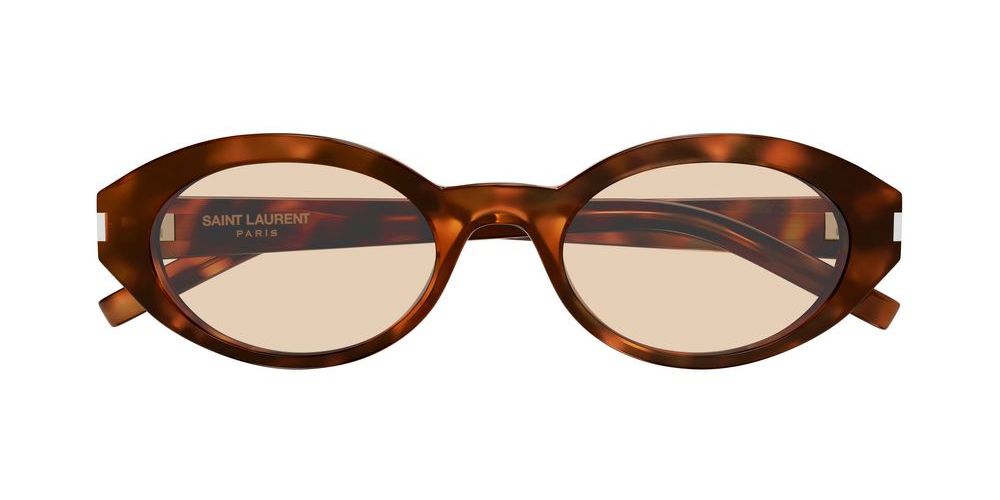 Saint Laurent SL 567 women Havana Round Sunglasses – Otticanet USA